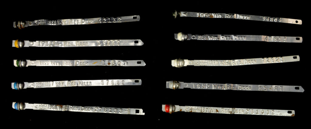 Lot of 10 Vintage Metal Hunting Wisconsin Deer Carcass Colored Tags ...