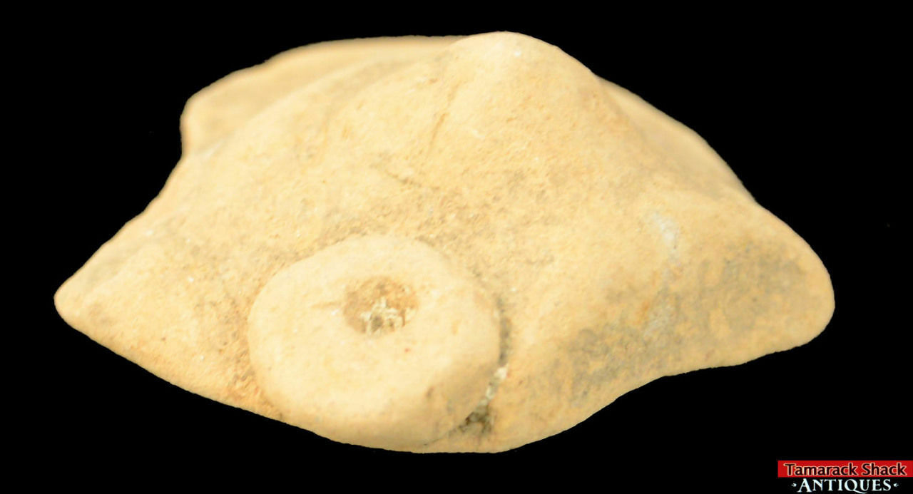 Mayan Cenote Yucatan Dig Pre-Columbian Stone Old Artifact Animal Frog ...